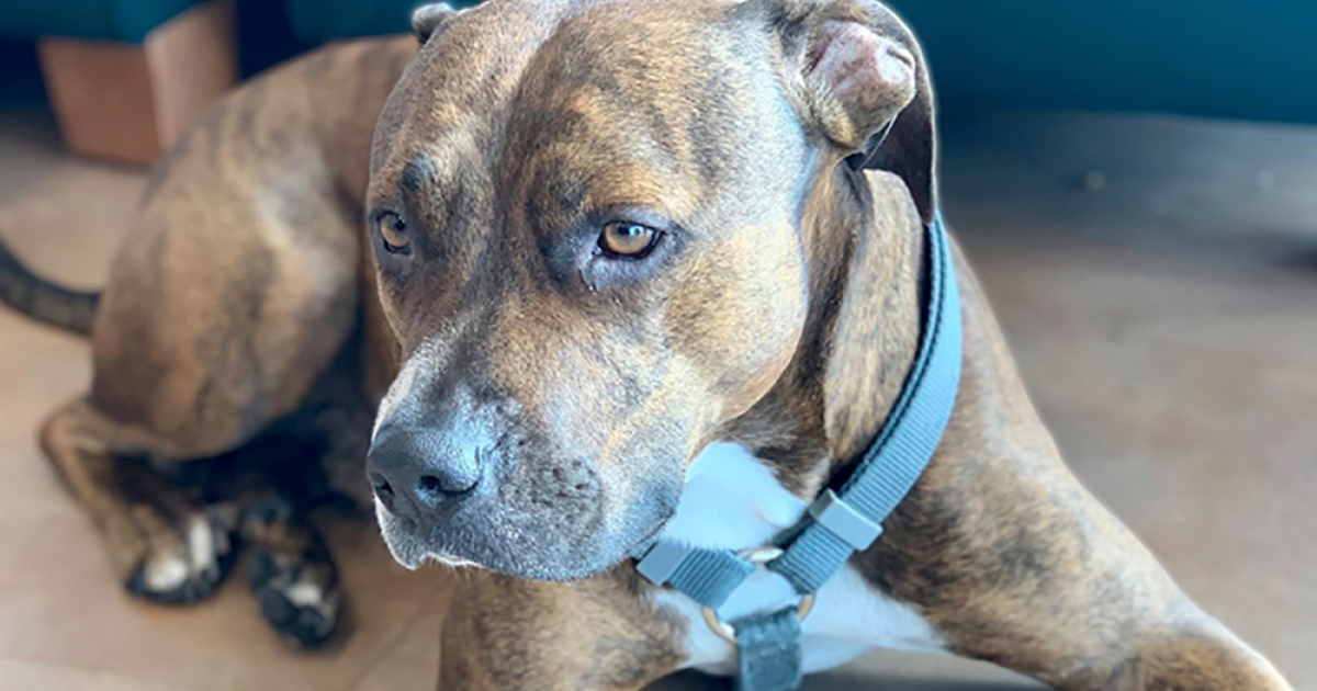 ICM Best Friends Program | Faith Magazine