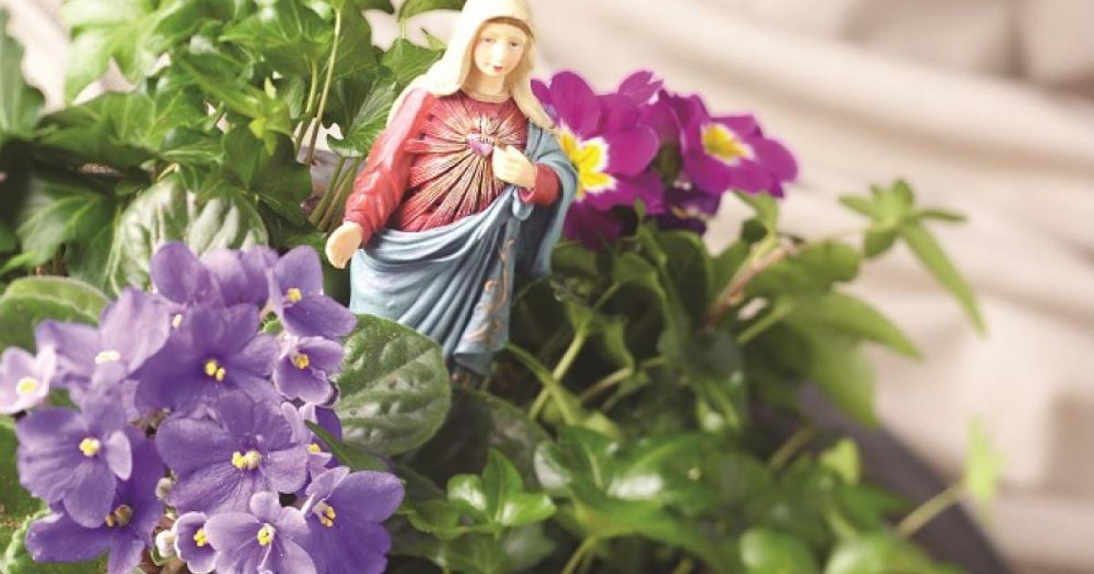 Flowers of Faith | Faith Magazine