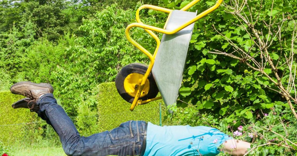 My Neighbor’s Garden Is Taking Over My Yard | Faith Magazine